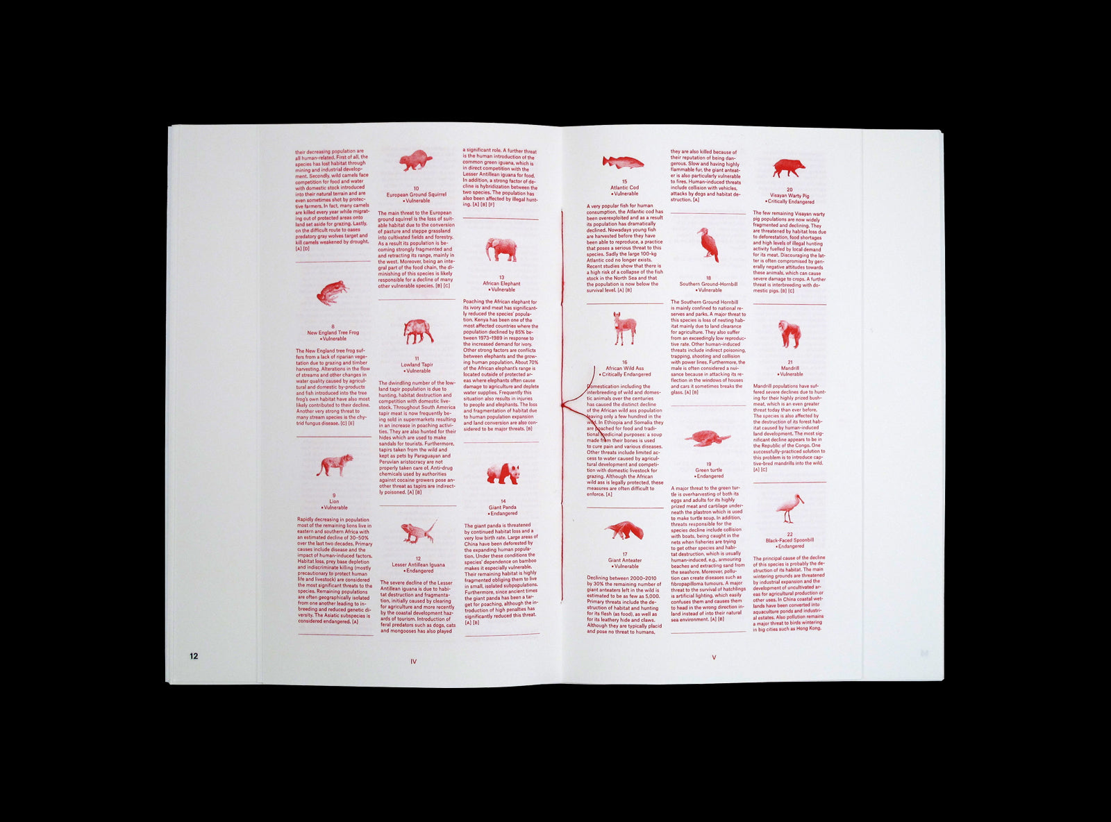 Animal Drawing Notebook | Special Edition